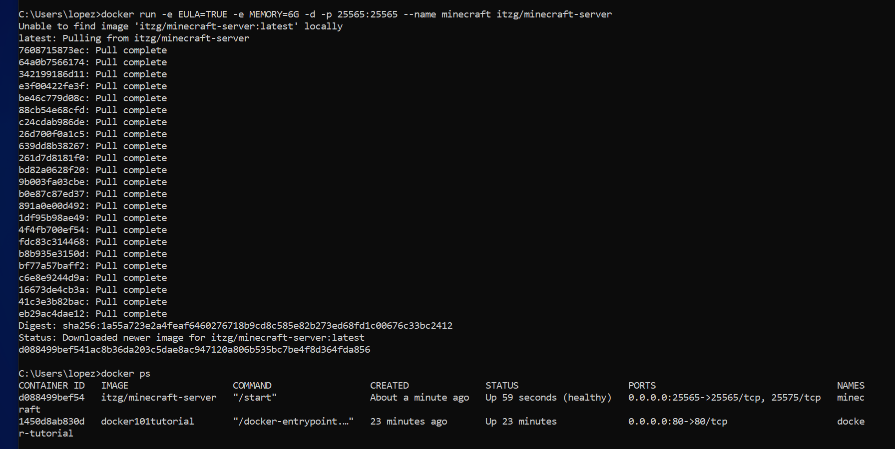 Run Docker on Windows with Docker Desktop – Greyson's Tech Blog